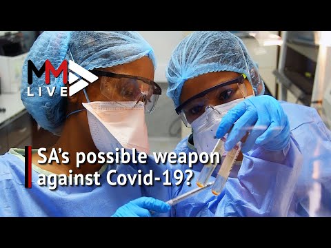 Can 100-year-old TB vaccine be SA’s secret weapon against Covid-19?
