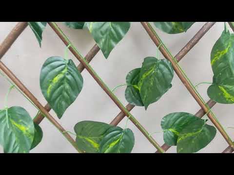 Dark Green Artificial Foldable Wall Hanging Money Plant|JJ Decorations| Home Decor