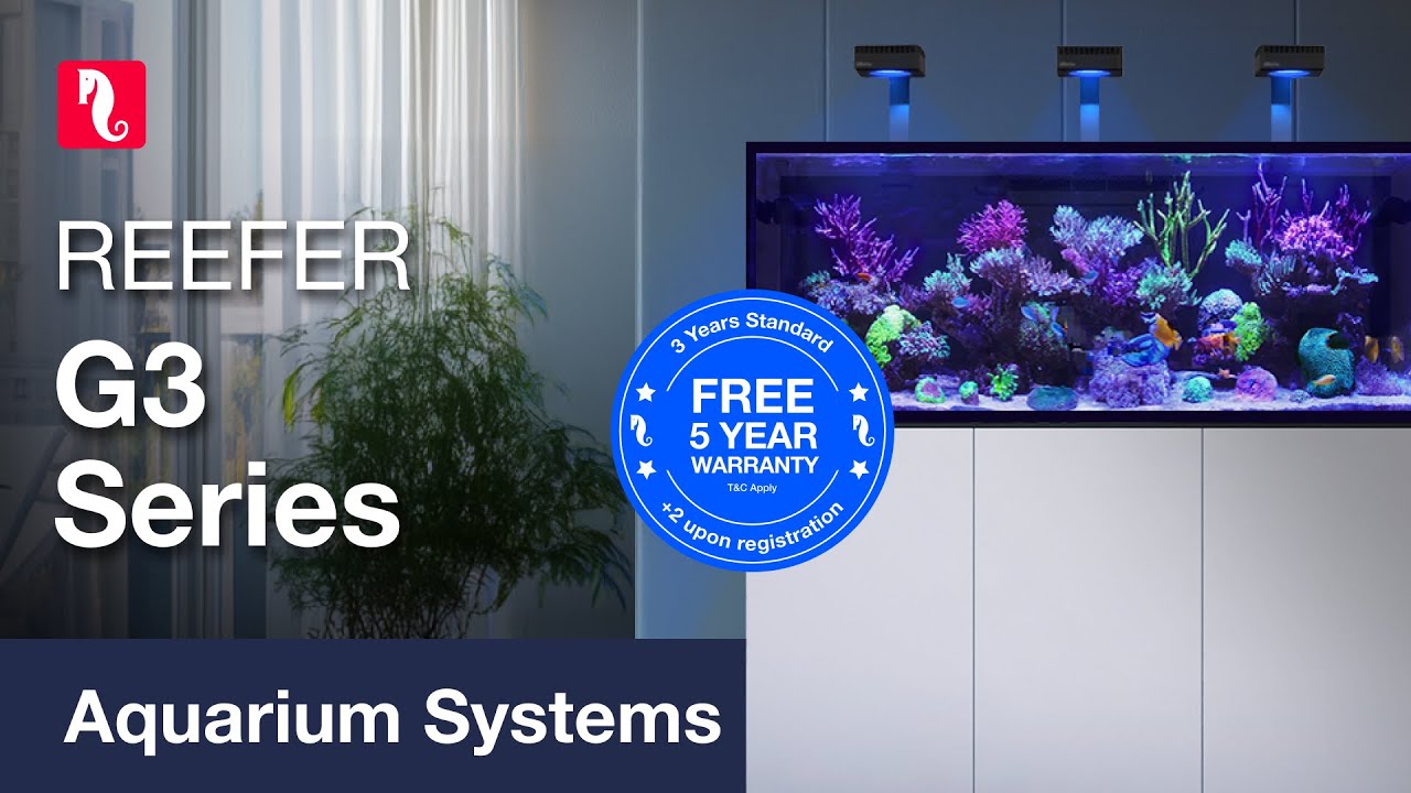 The REEFER G3 series!