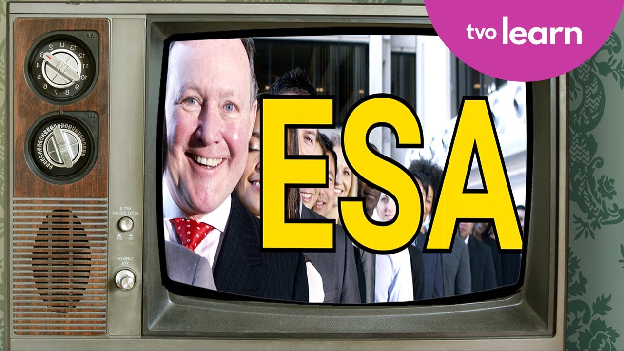 🍁 Ontario’s Employment Standards Act: What You MUST Know | Things you Ought to Know | TVO Learn