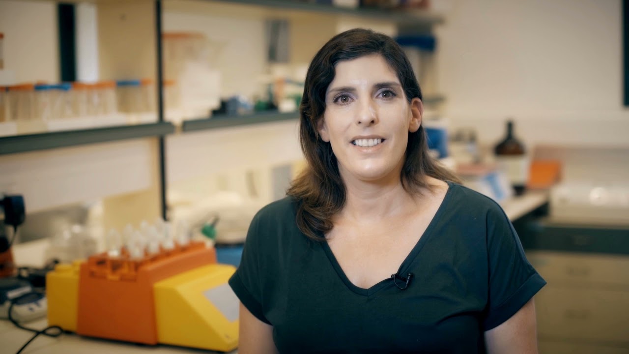Dr. Neta Shlezinger - Zuckerman STEM Leadership Faculty Program