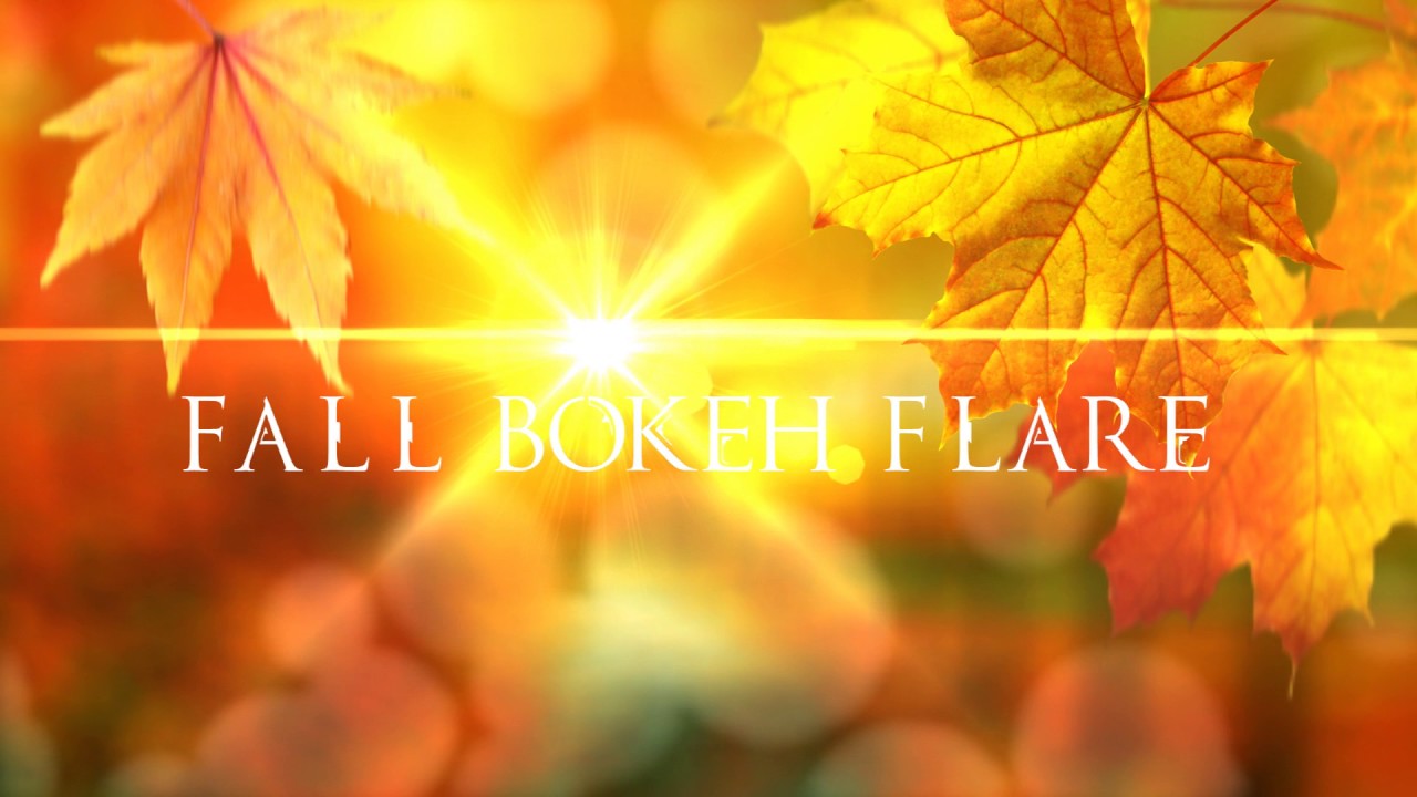 Autumn Fall Animated Bokeh Background with Flares Motion Graphic Free Download