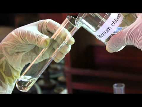 Reaction Between Sodium Sulphate and Barium Chloride Solution (Chemical ...