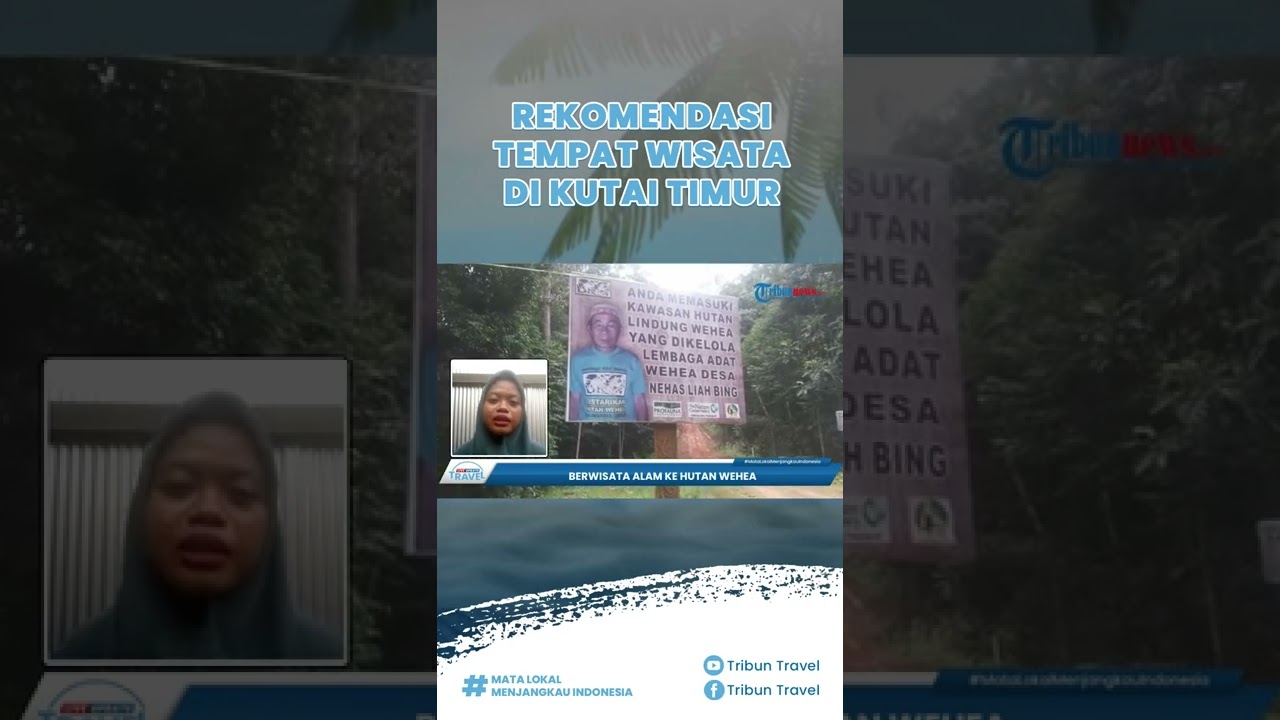 Rekomendasi Tempat Wisata di Kutai Timur, Ada Hutan Lindung Wehea yang Memiliki Keragaman Hayati ...