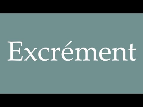 How to Pronounce ''Excrément'' (Excrement) Correctly in French