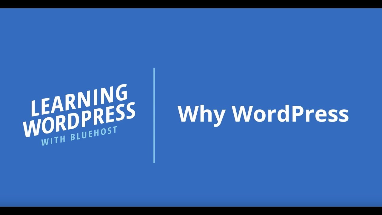 Why You Should Choose WordPress for Your Website?