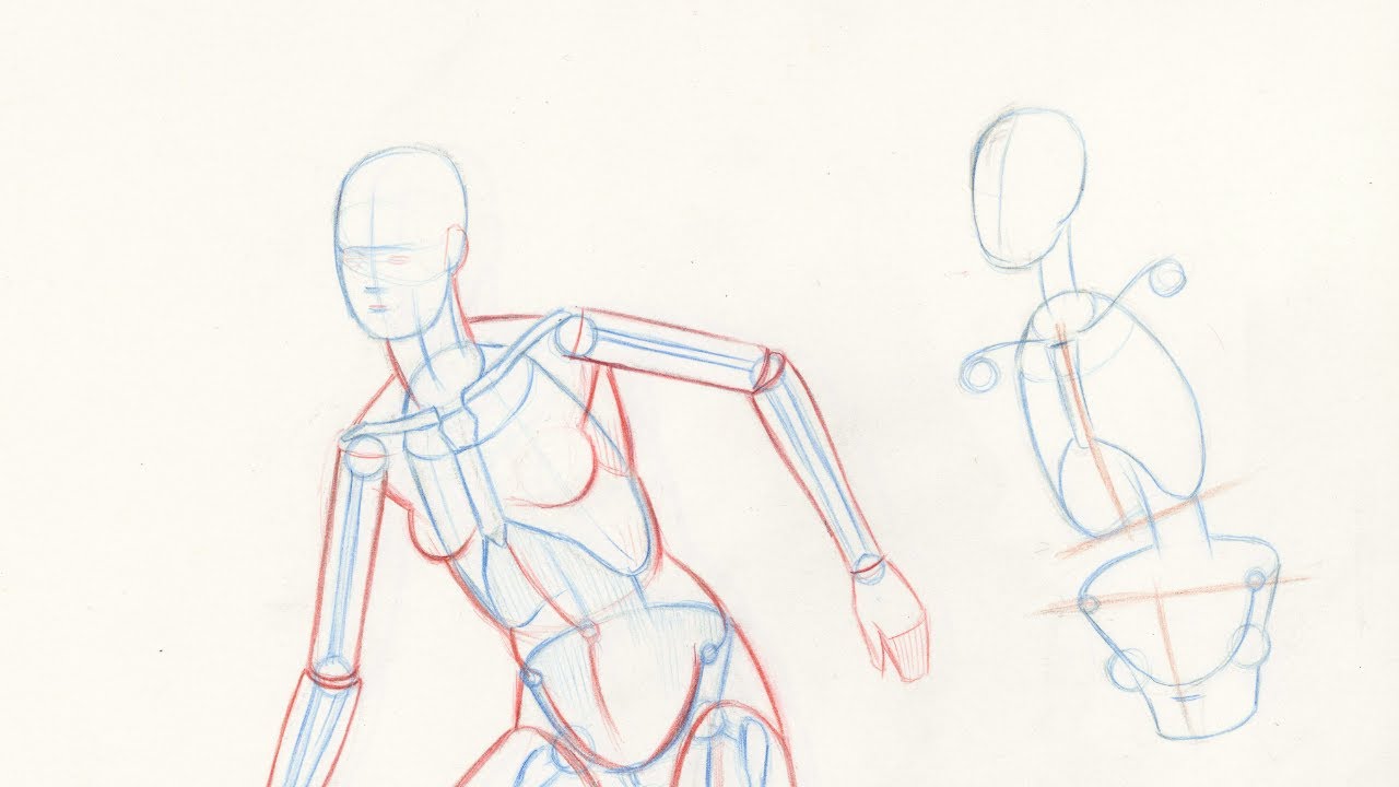 From blocks figures to muscles...