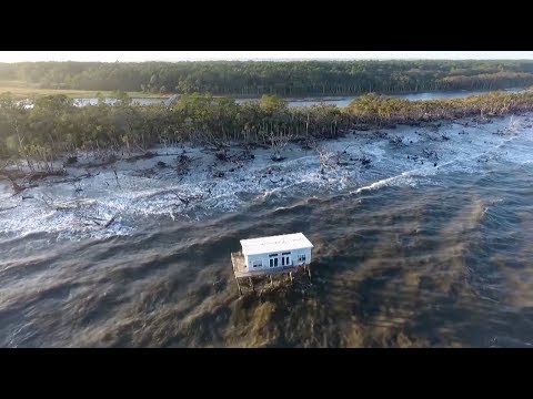Sea Change | SCETV Documentary