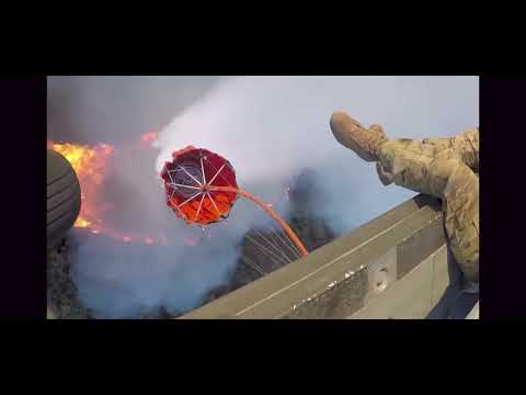 Georgia Army National Guard Short