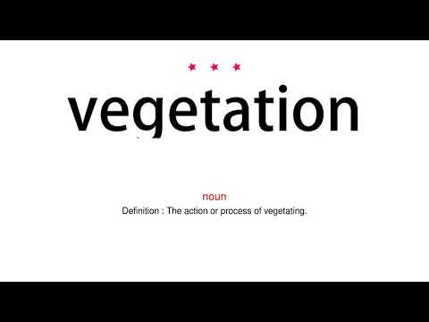 How to pronounce vegetation - Vocab Today
