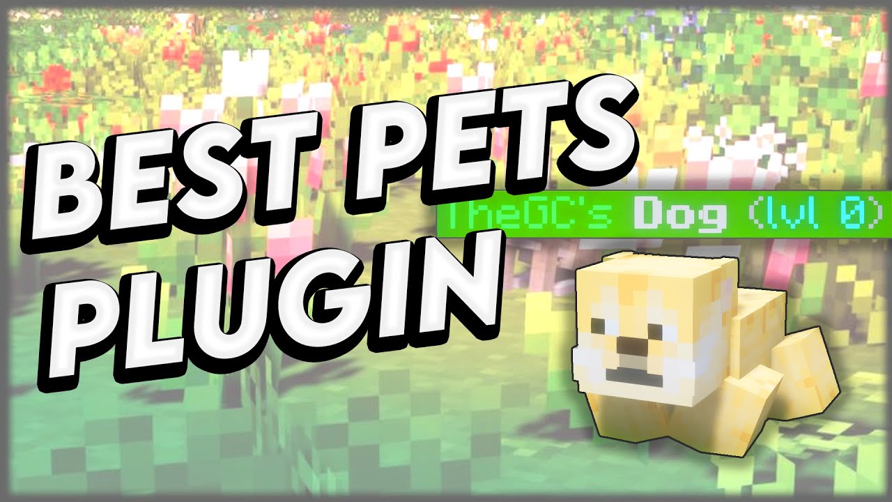 BEST Minecraft Pets Plugin | Minecraft Plugins