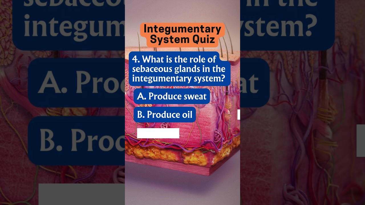 Integumentary System Quiz | How Well Do You Know Your Skin?