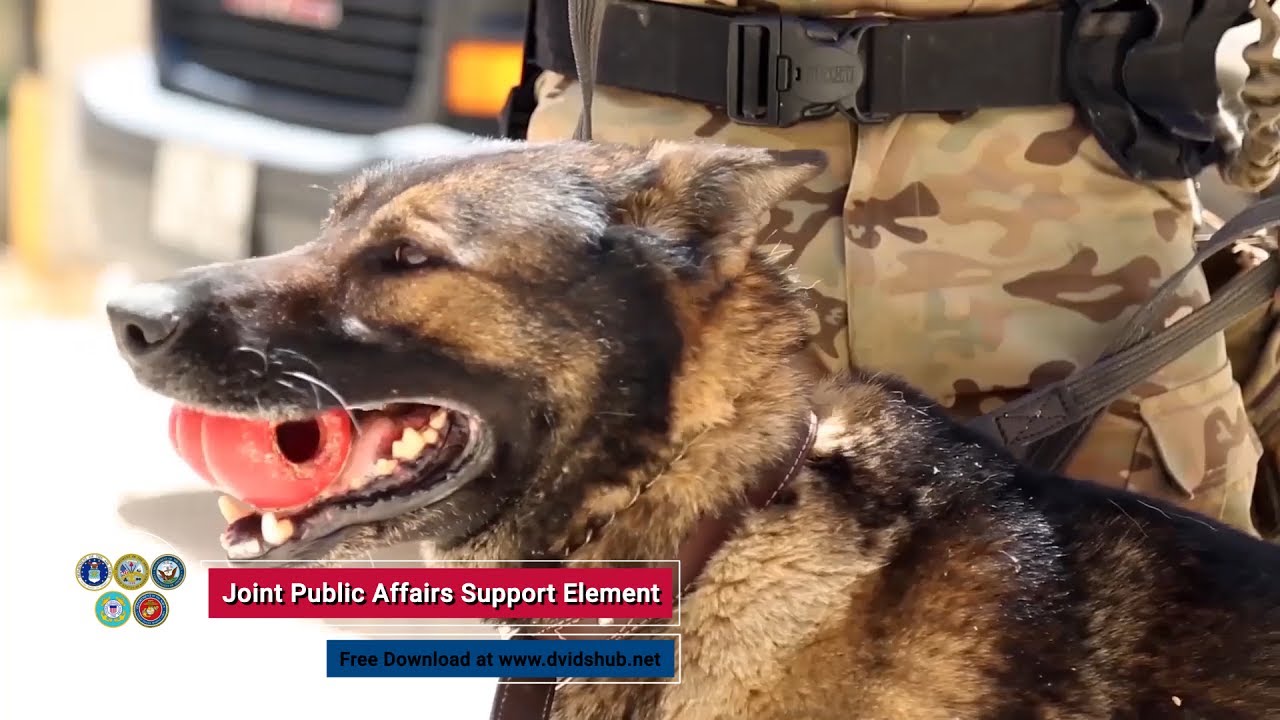 DVIDS Videos of the Day - May 24th, 2017