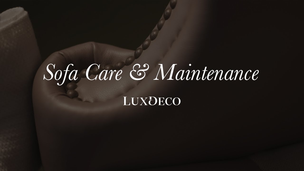 Sofa Care & Maintenance - The Sofa Guide - LuxDeco