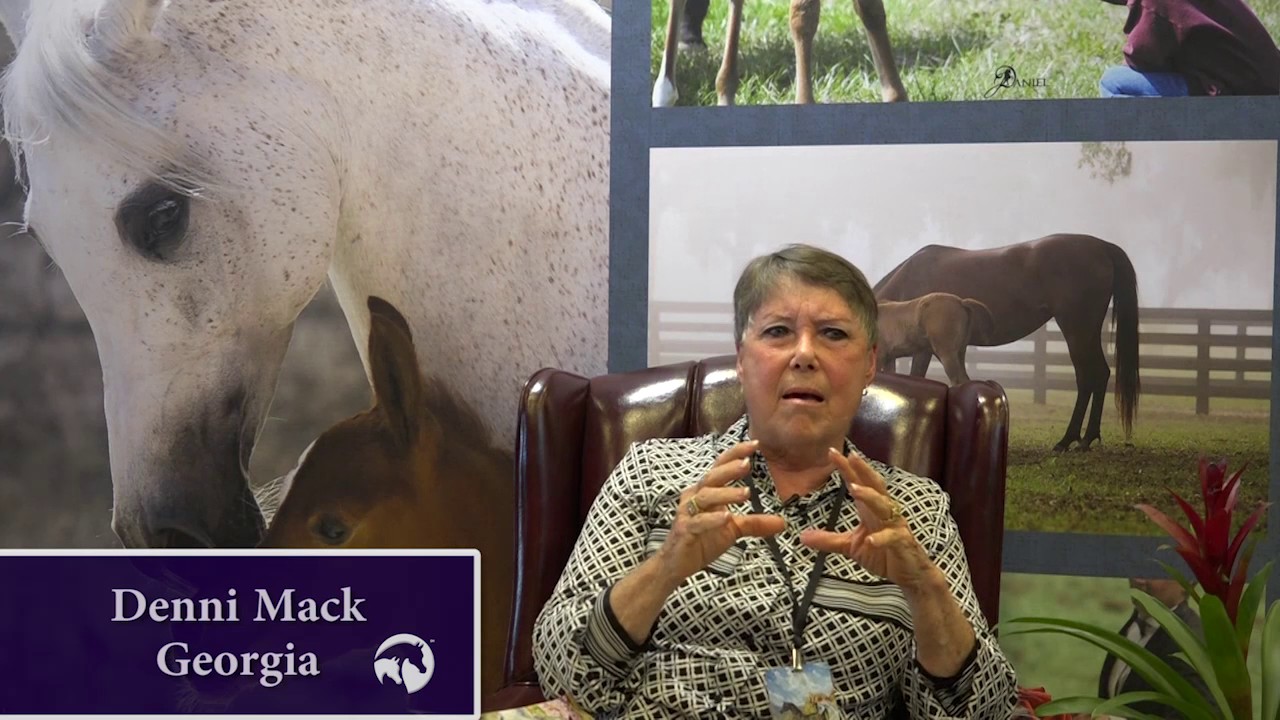 Arabian Horse Industry Breeder Interview - Denni Mack
