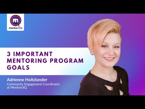 3 Important Mentoring Program Goals