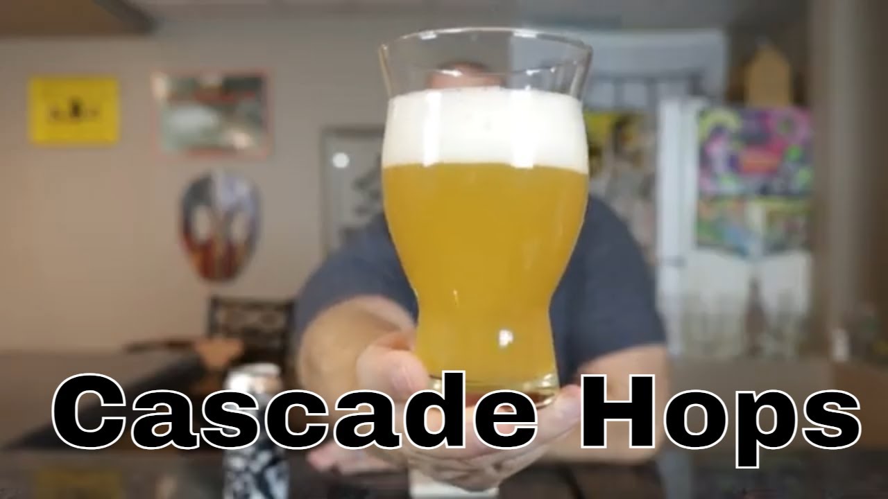 Rorschach Test American IPA Ascension Brewing