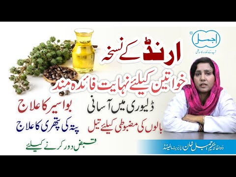 Castor Benefits | Arandi | Delivery me asani ka nuskha | Bawaseer ka ilaj | Pitte ki pathri ka ilaj