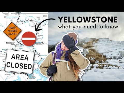 7 Must-Know Tips for Visiting YELLOWSTONE National Park in the WINTER *there are road closures*