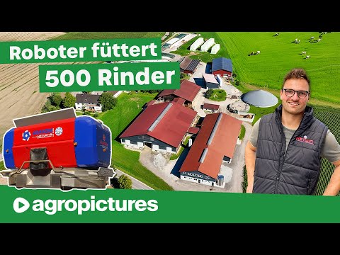 Roboter füttert 500 Rinder am Milchviehbetrieb Kucher | Hetwin Aranom Fütterungsroboter im Einsatz
