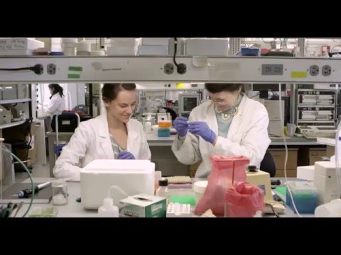The BioDiscovery Institute – UNT Research