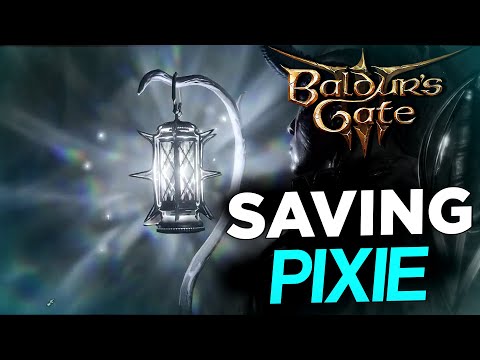 Steam Community :: Video :: What Happens if you Save Pixie? | Baldur's Gate 3