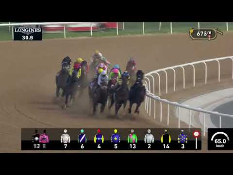 Dubai Golden Shaheen Sponsored by Nakheel – Tuz – Dubai World Cup 2024