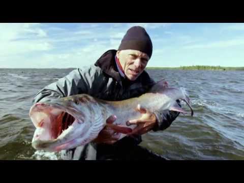 How to Catch an Elusive Canadian Muskie