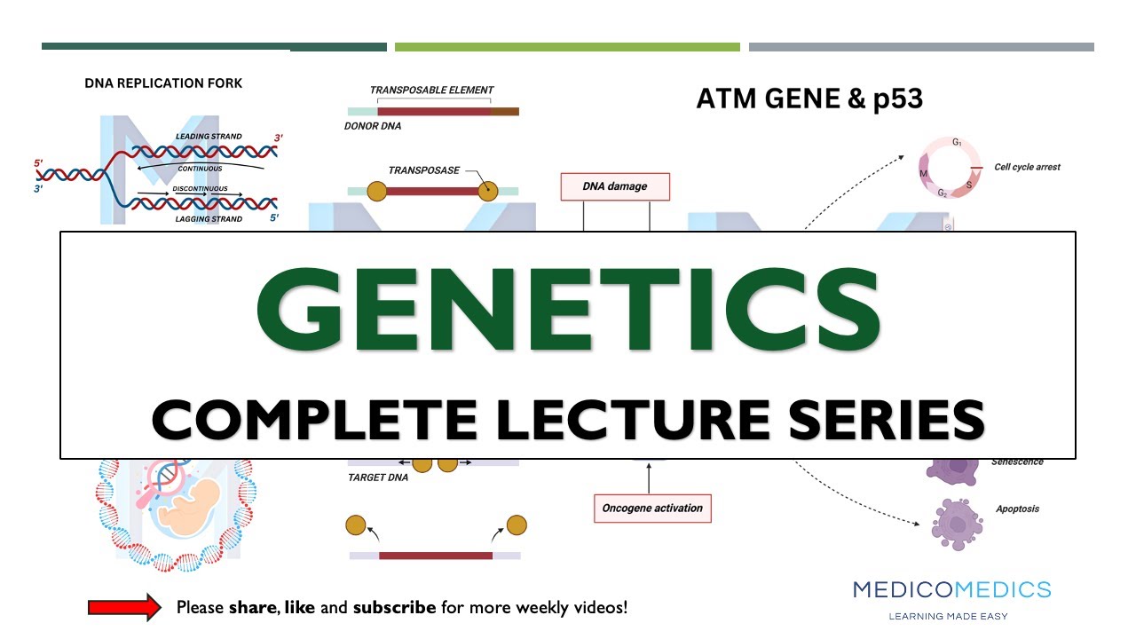 Practice Shadowing: Genetics Chapter 1 | Introduction to Genes, DNA ...