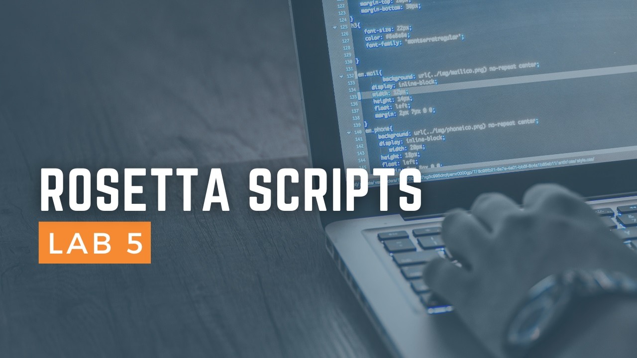 RosettaScripts in action: designing your first workflow