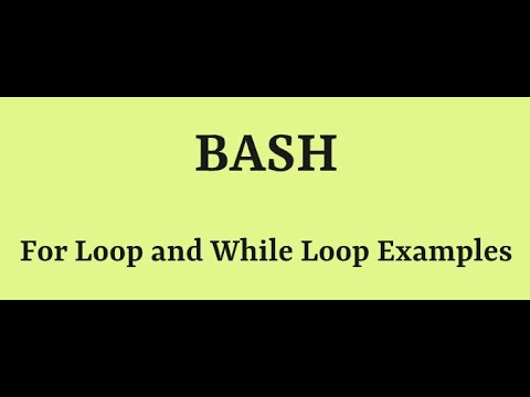BASH SHELL SCRIPT WELL EXPLAINED in 1h: "If, Elif, Else, For and While Loop"