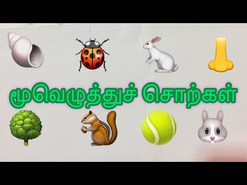 three letter words in tamil for kids read and learn