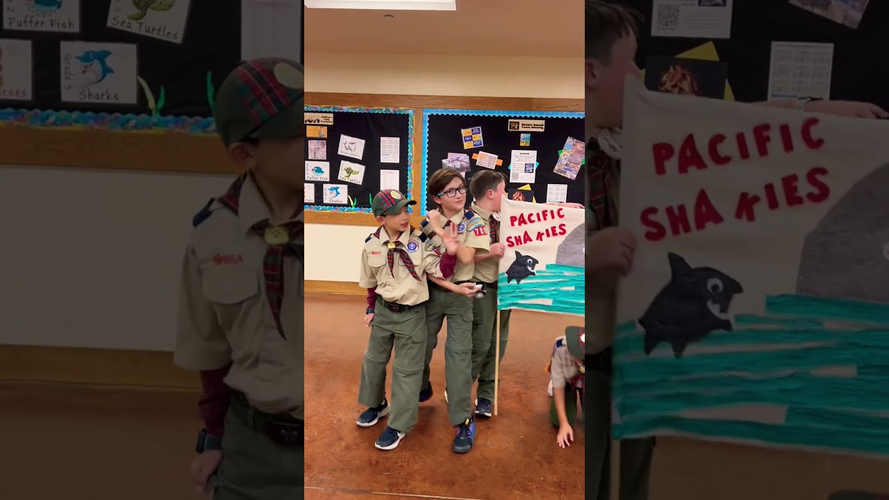#wemade￼flag￼#Cap scout#FunLearn🤣