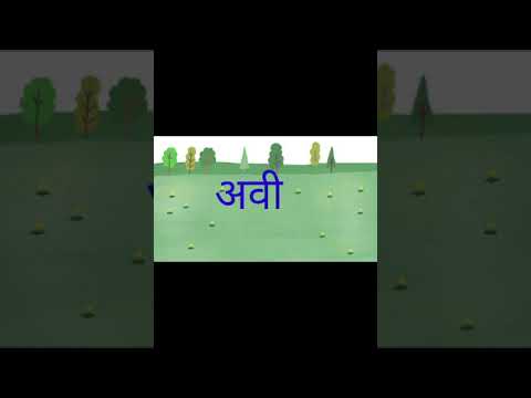 Aavi naam ka matalab//Aavi naam ka arth//Aavi naam ka sahi arth/