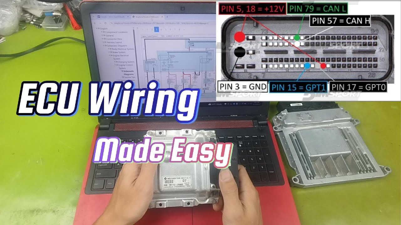 How to Accurately Find ECU Wiring Diagrams | Beginner’s Guide to Car ECU Repair. #ecurepair