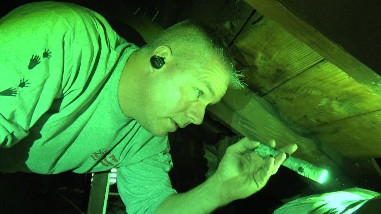 What Was Making Strange Noises in These Attics?
