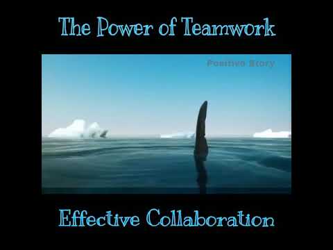 The Power of Teamwork | Effective Collaboration