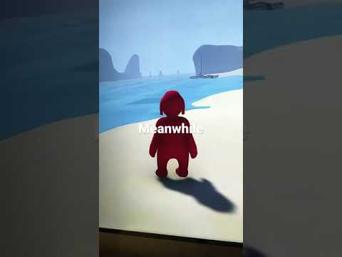Human fall flat