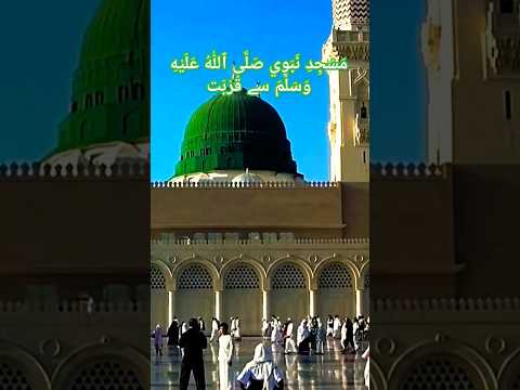 Masha Allah tabarakAllah ❤️❤️#ajmalrazaqadri #saqibrazamustafai #madina #masjidenabwiﷺ #bayan❤️❤️