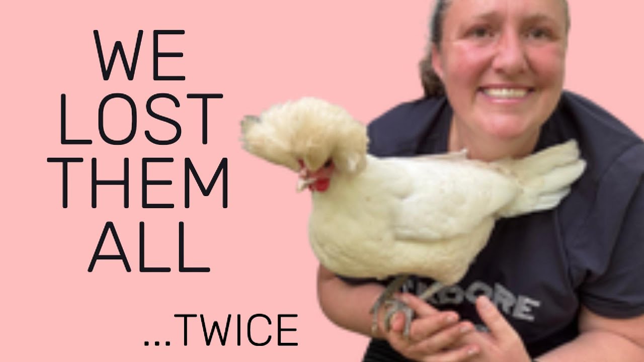 7 Backyard Chicken Mistakes We’ll Never Make Again