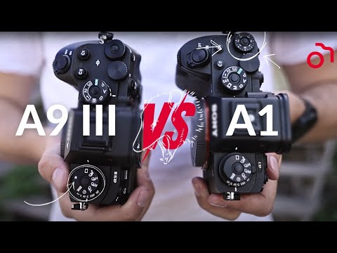 Sony A9 III vs A1: Skrajnie trudna ocena (ILCE-9M3)