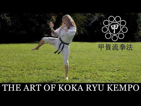 The Art of Koka-ryu Kempo: True Traditional Budo Training | Martial ...