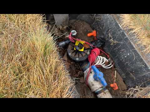 Summer Park Irrigation - What to Expect