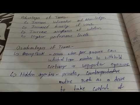 What is team , its advantages & disadvantages in Urdu