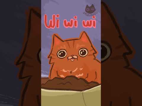 Cat eating wiwiwi #cat #cute