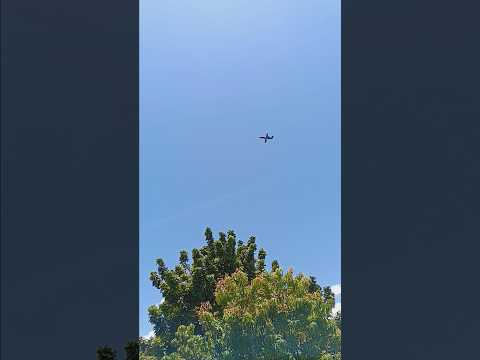 Cessna Citation Excel. 01 #shorts