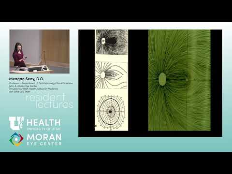 Visual Field Testing and Cases