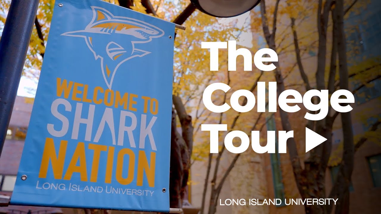 Long Island University