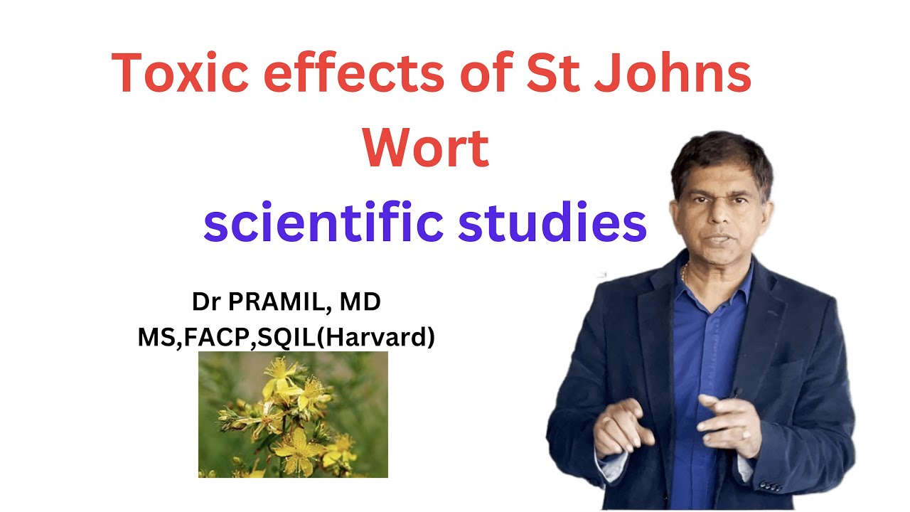 Toxic effects of St Johns Wort -scientific studies  Dr Pramil, MD, MS, FACP