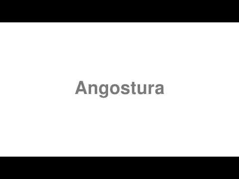 How to Pronounce "Angostura"
